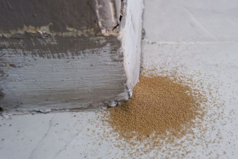 IDENTIFYING PEST DROPPINGS: WHAT THEY LOOK LIKE AND WHAT THEY MEAN ...