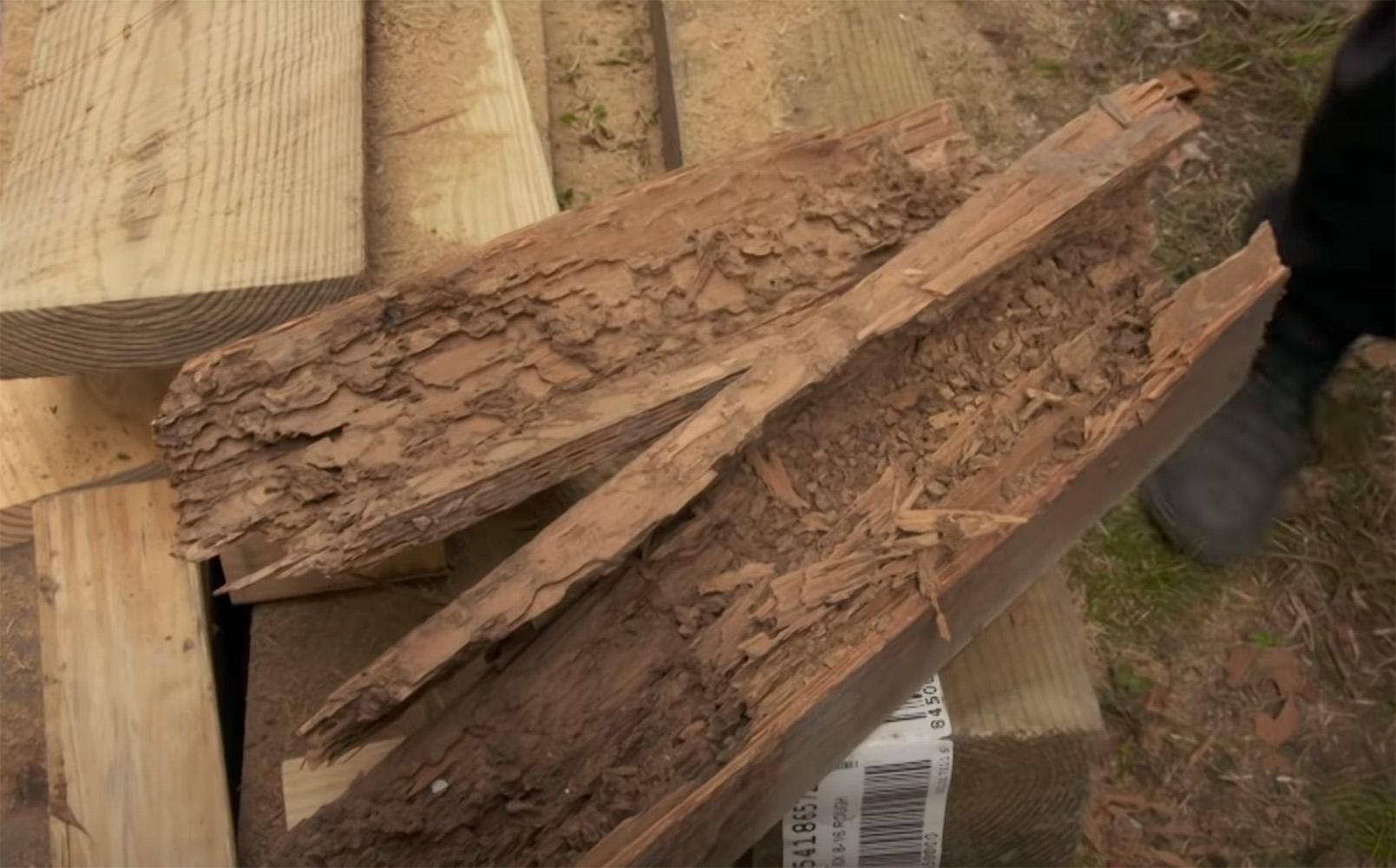 Effects Of Termites On Your Home's Value