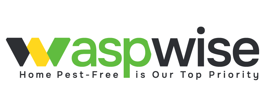 IDENTIFYING PEST DROPPINGS: WHAT THEY LOOK LIKE AND WHAT THEY MEAN - WaspWise